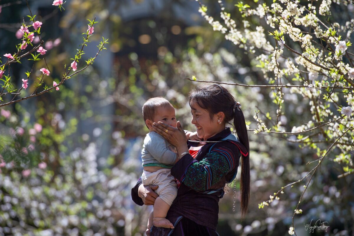 Dân tộc H’Mông - Nguyễn Sơn Tùng photographer
